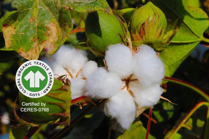 Das Bio-Zertifikat GOTS – TORLAND